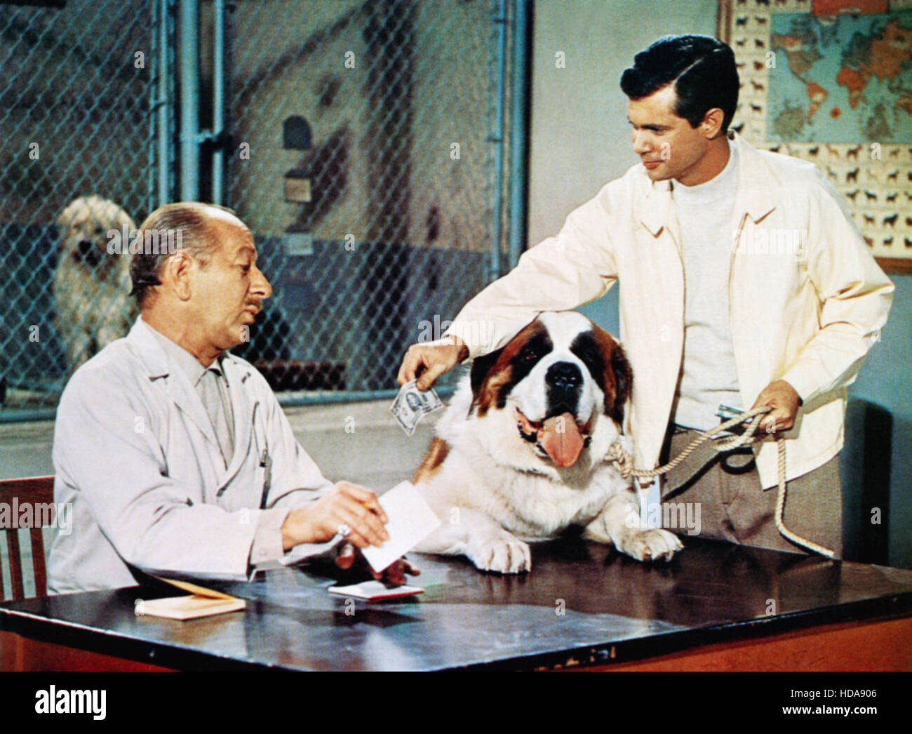 Mein Hund, THE THIEF (aka DISNEYLAND, aka DISNEYS wunderbare Welt, aka ...