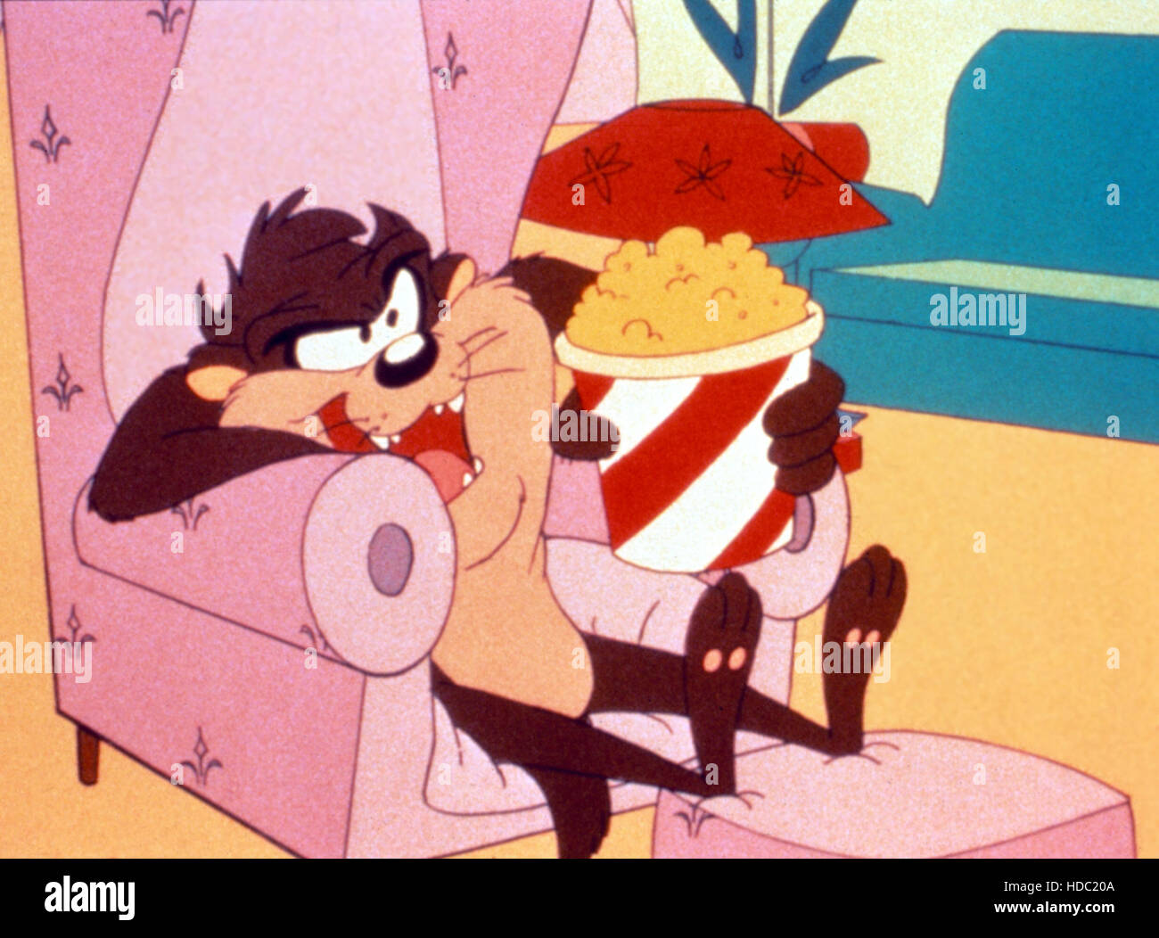 Tasmanian devil cartoon -Fotos und -Bildmaterial in hoher Auflösung – Alamy