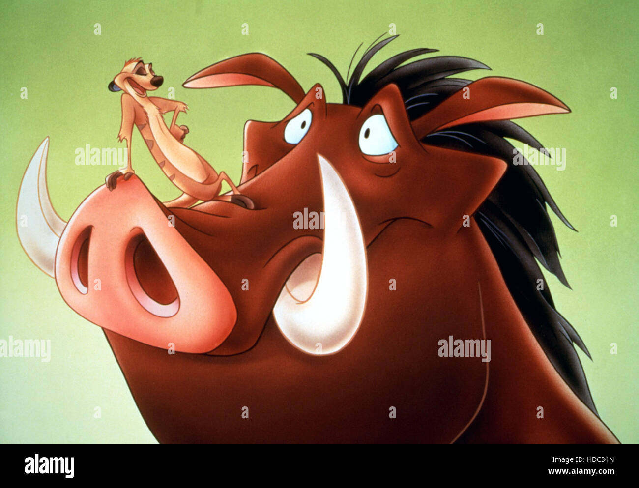 TIMON und PUMBAA, Timon, Pumbaa, 1995-98, (c) Walt Disney Television ...