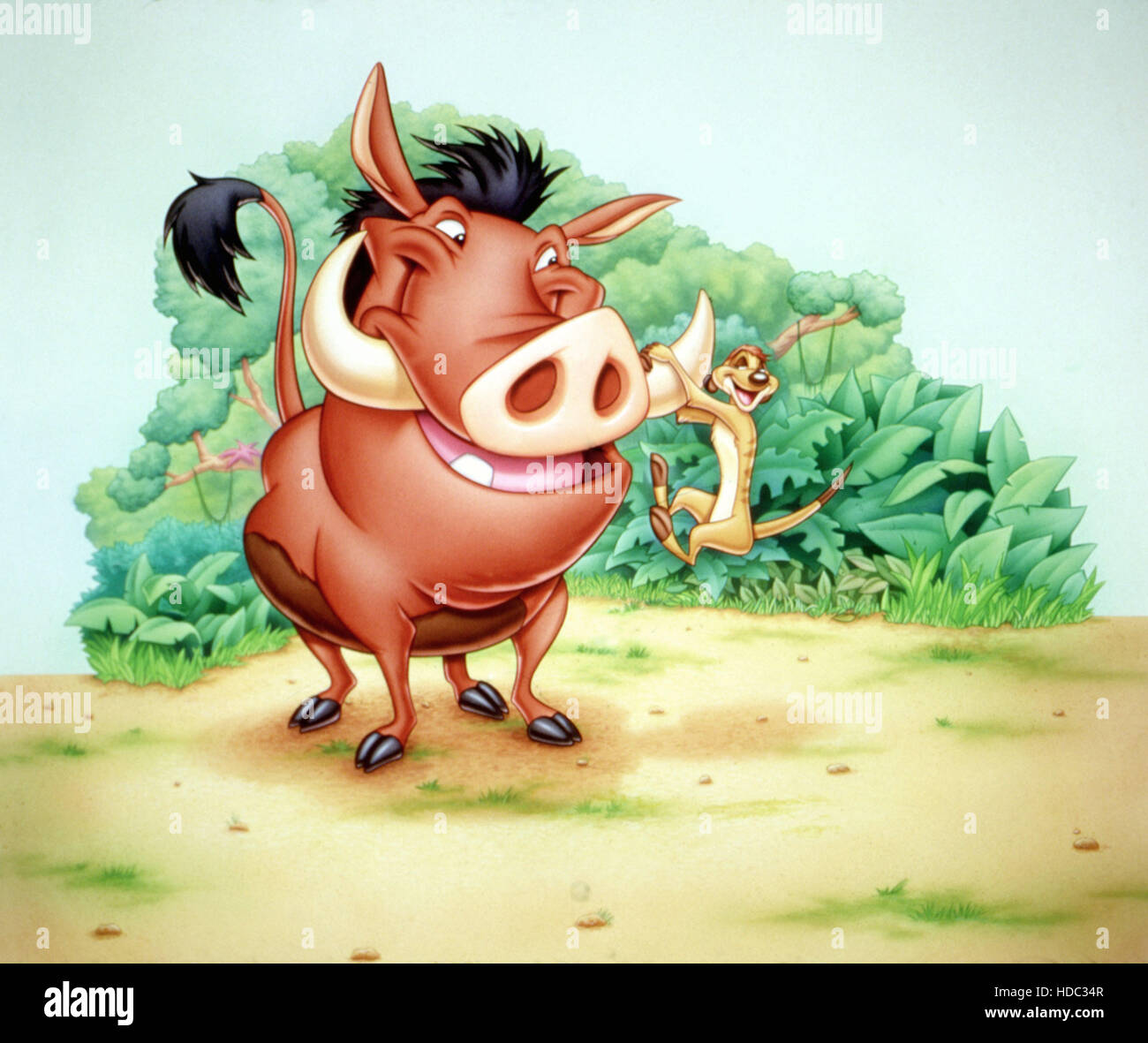 TIMON und PUMBAA, Pumbaa, Timon, 1995-98, (c) Walt Disney Television ...