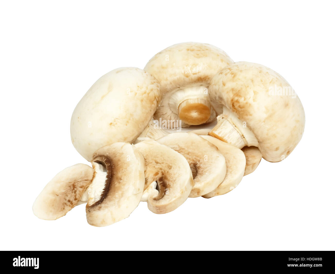 Reifer pilz champignon -Fotos und -Bildmaterial in hoher Auflösung – Alamy