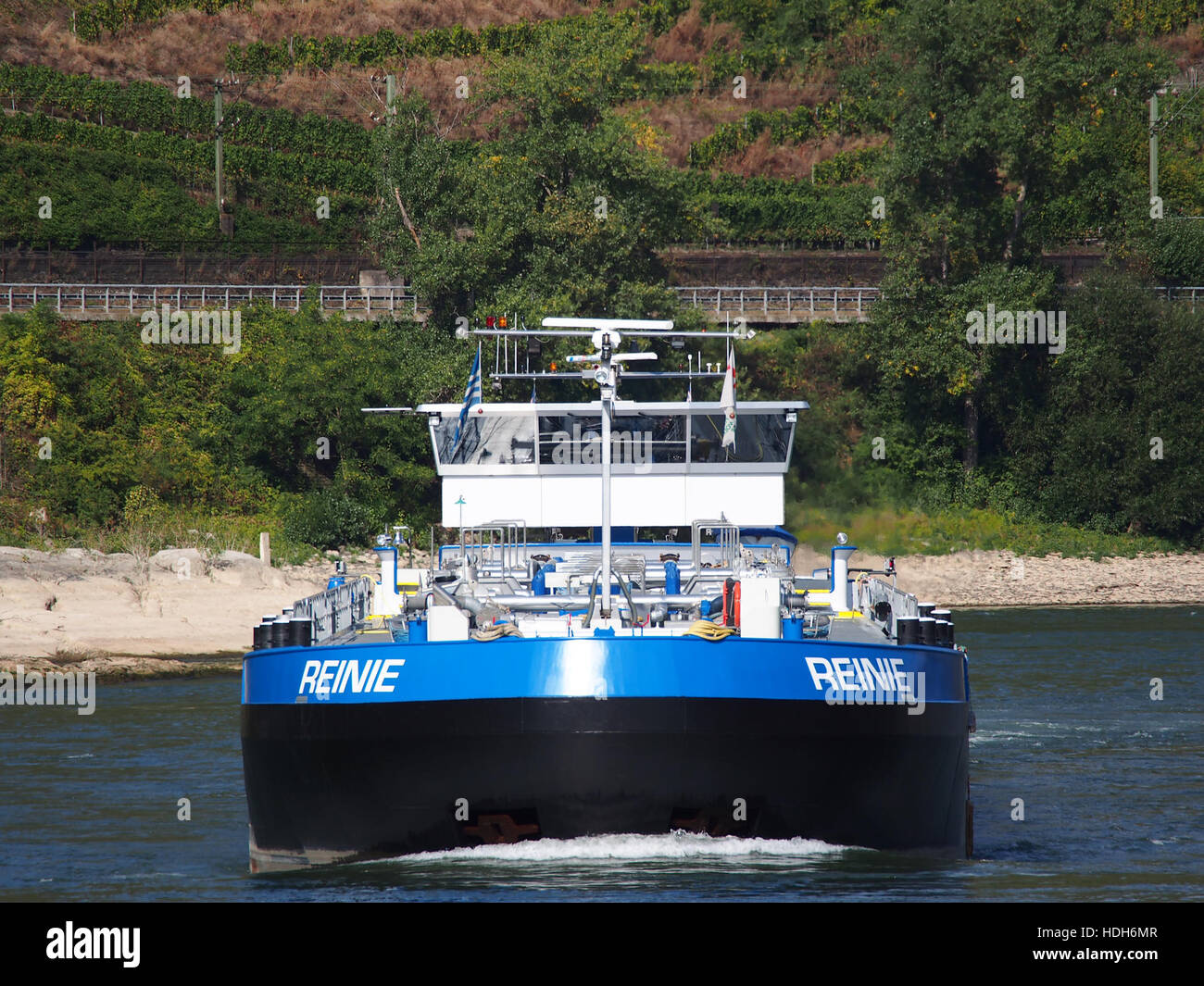 Die *Reinie* ist ein modernes Schiff, das den Rhein bei Oberwesel ...