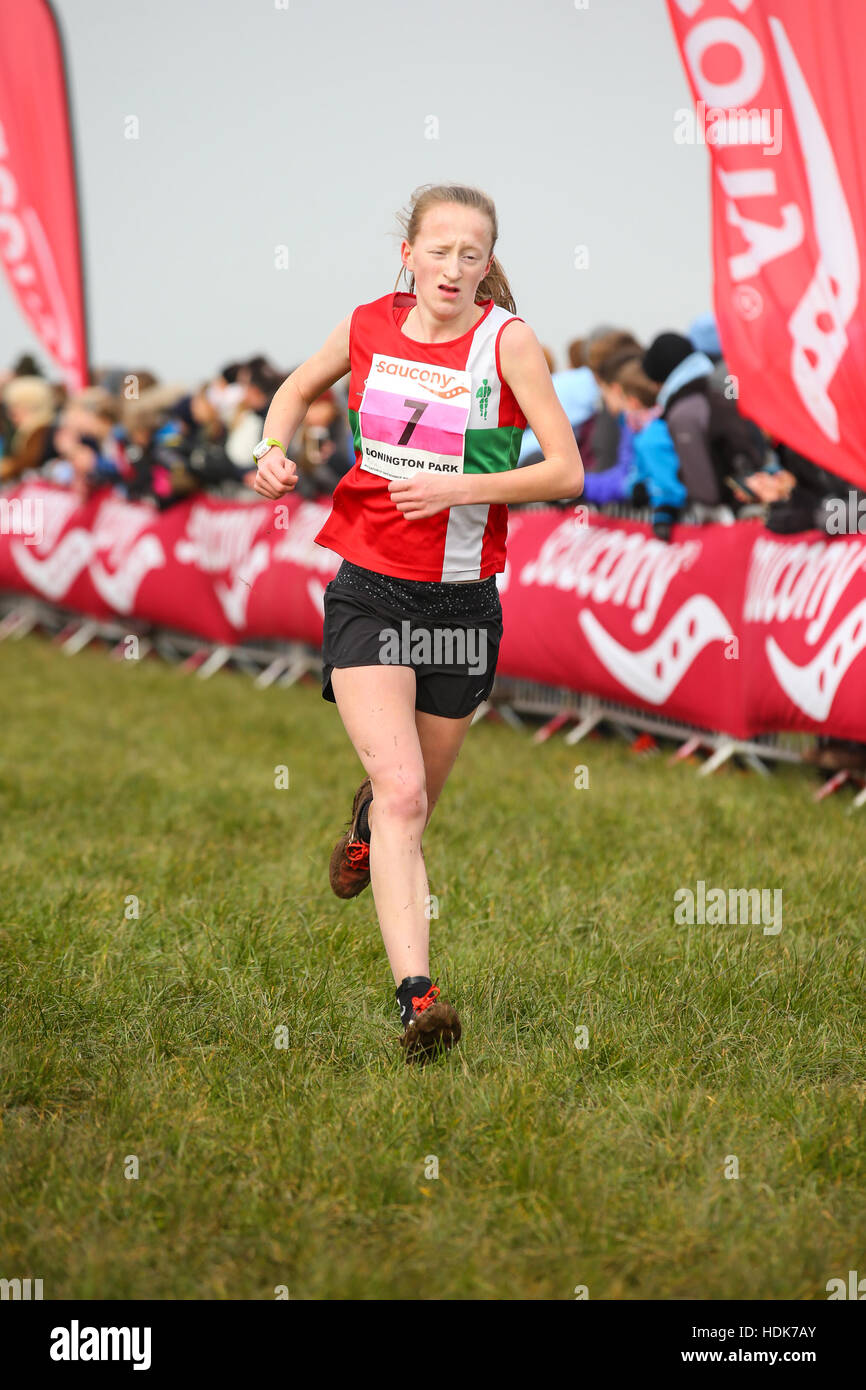 Langlauf meisterschaften -Fotos und -Bildmaterial in hoher Auflösung – Alamy