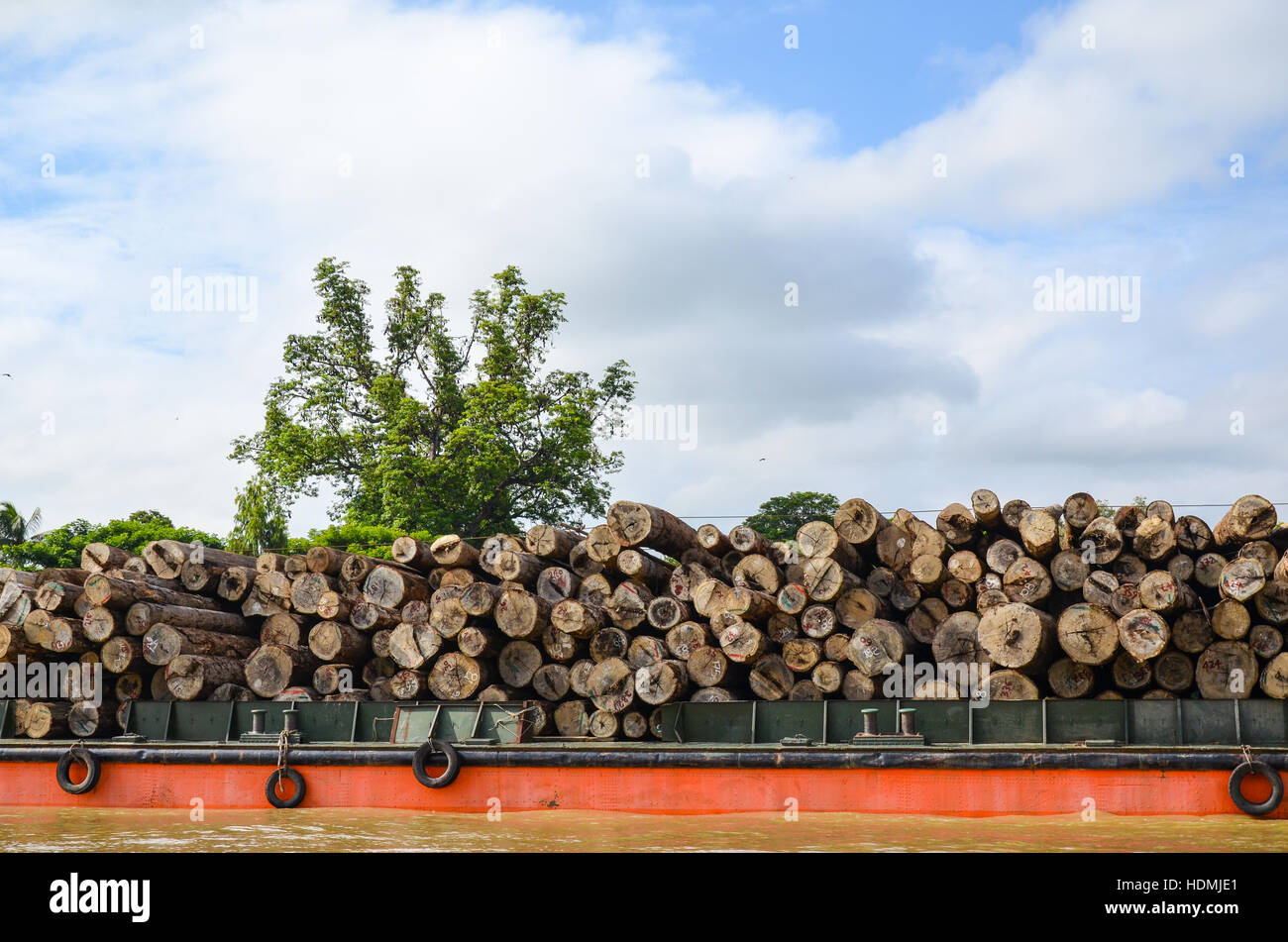 Transporting wood ship -Fotos und -Bildmaterial in hoher Auflösung – Alamy