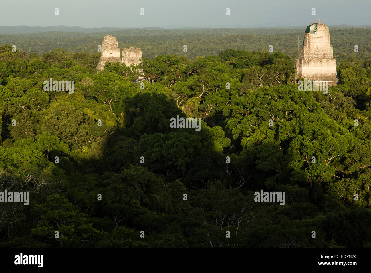 Nationalpark tikal nationalpark nationale tikal -Fotos und ...