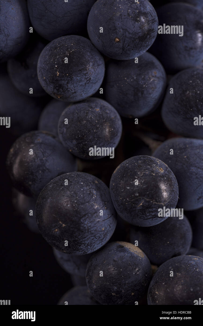 Rote trauben vitis vinifera Stockfotos und -bilder Kaufen - Alamy