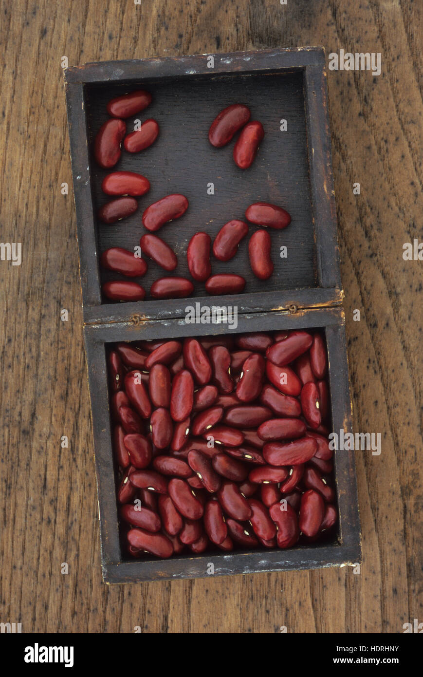Kleine rote bohnen -Fotos und -Bildmaterial in hoher Auflösung – Alamy