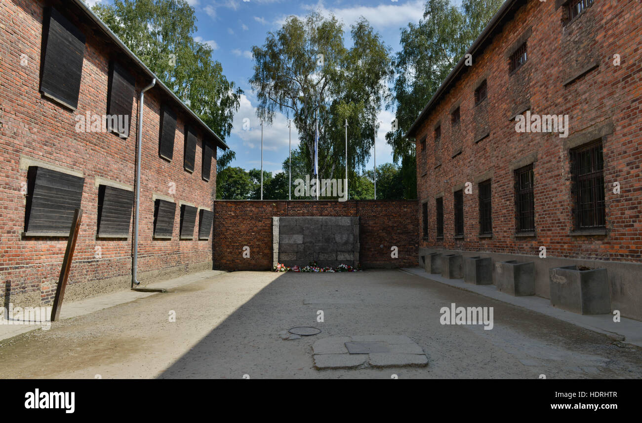 Block 11 auschwitz -Fotos und -Bildmaterial in hoher Auflösung – Alamy