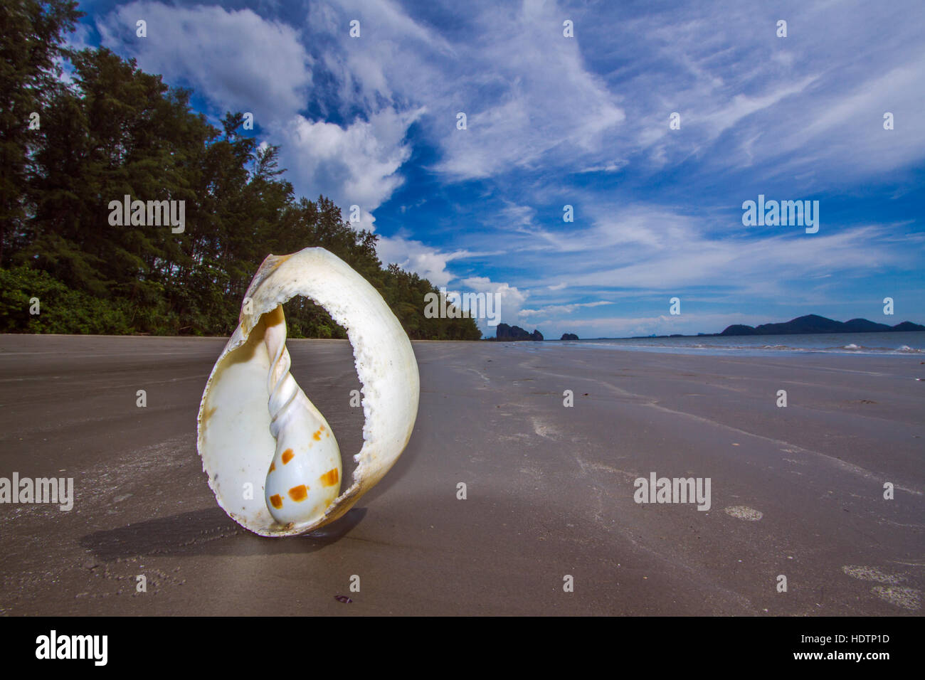 Had chao mai national park -Fotos und -Bildmaterial in hoher Auflösung ...