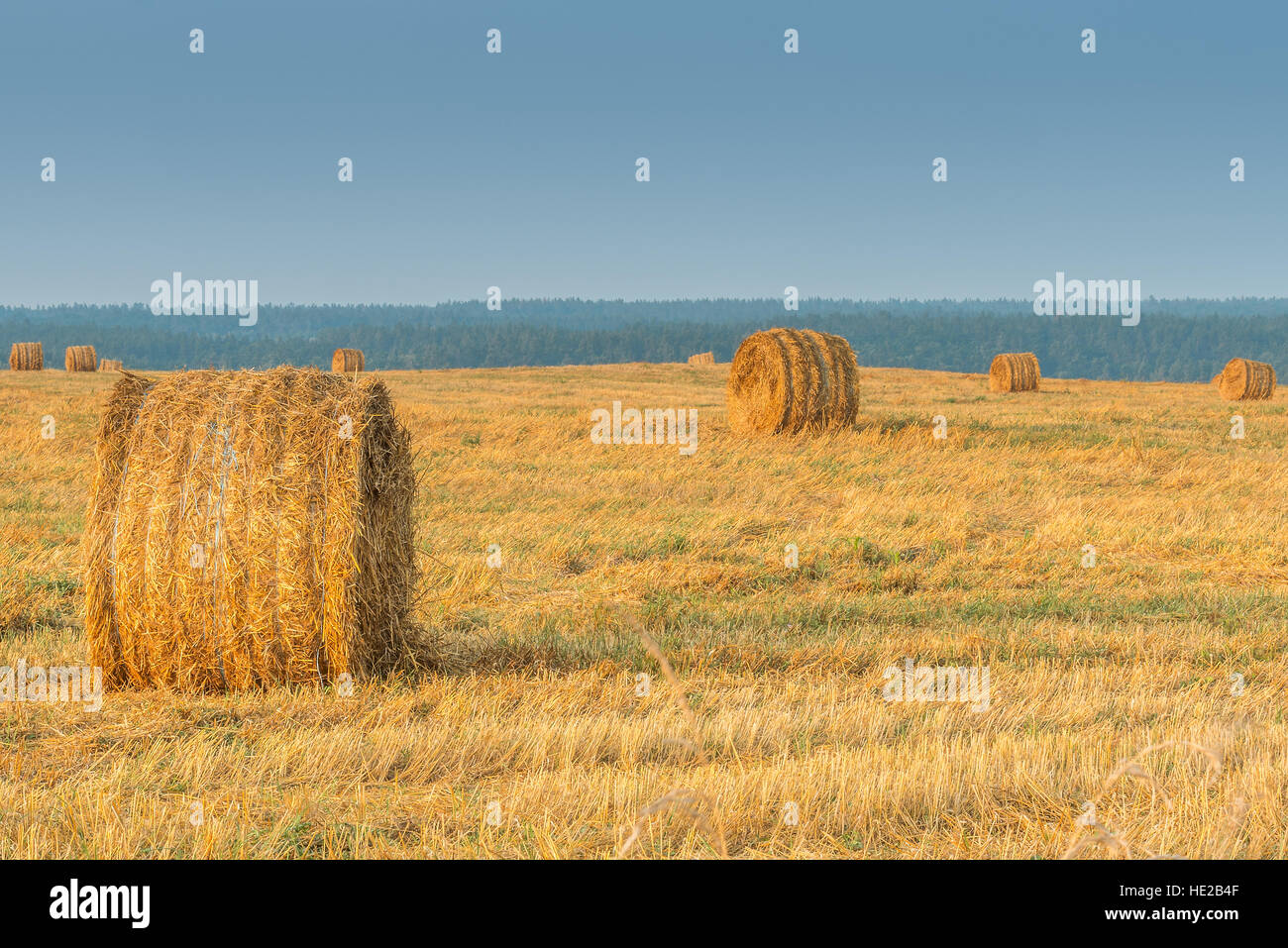 Ernte landschaft -Fotos und -Bildmaterial in hoher Auflösung – Alamy