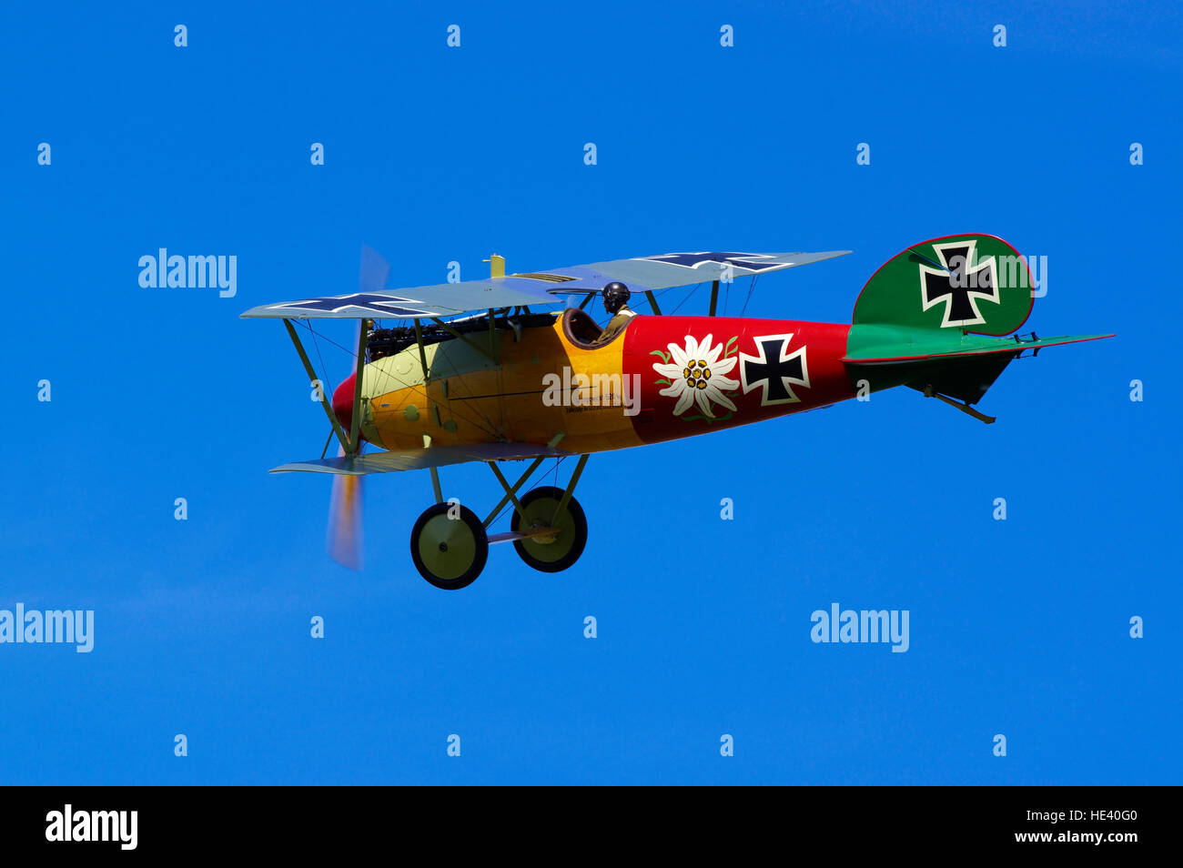 Albatross dva -Fotos und -Bildmaterial in hoher Auflösung – Alamy