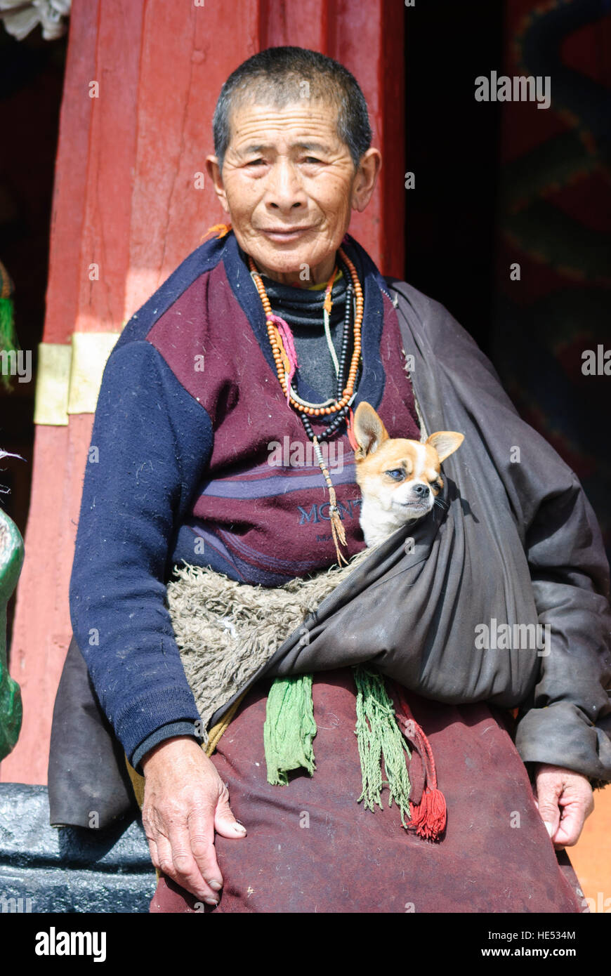 Nechung monastery former seat of the tibe -Fotos und -Bildmaterial in ...