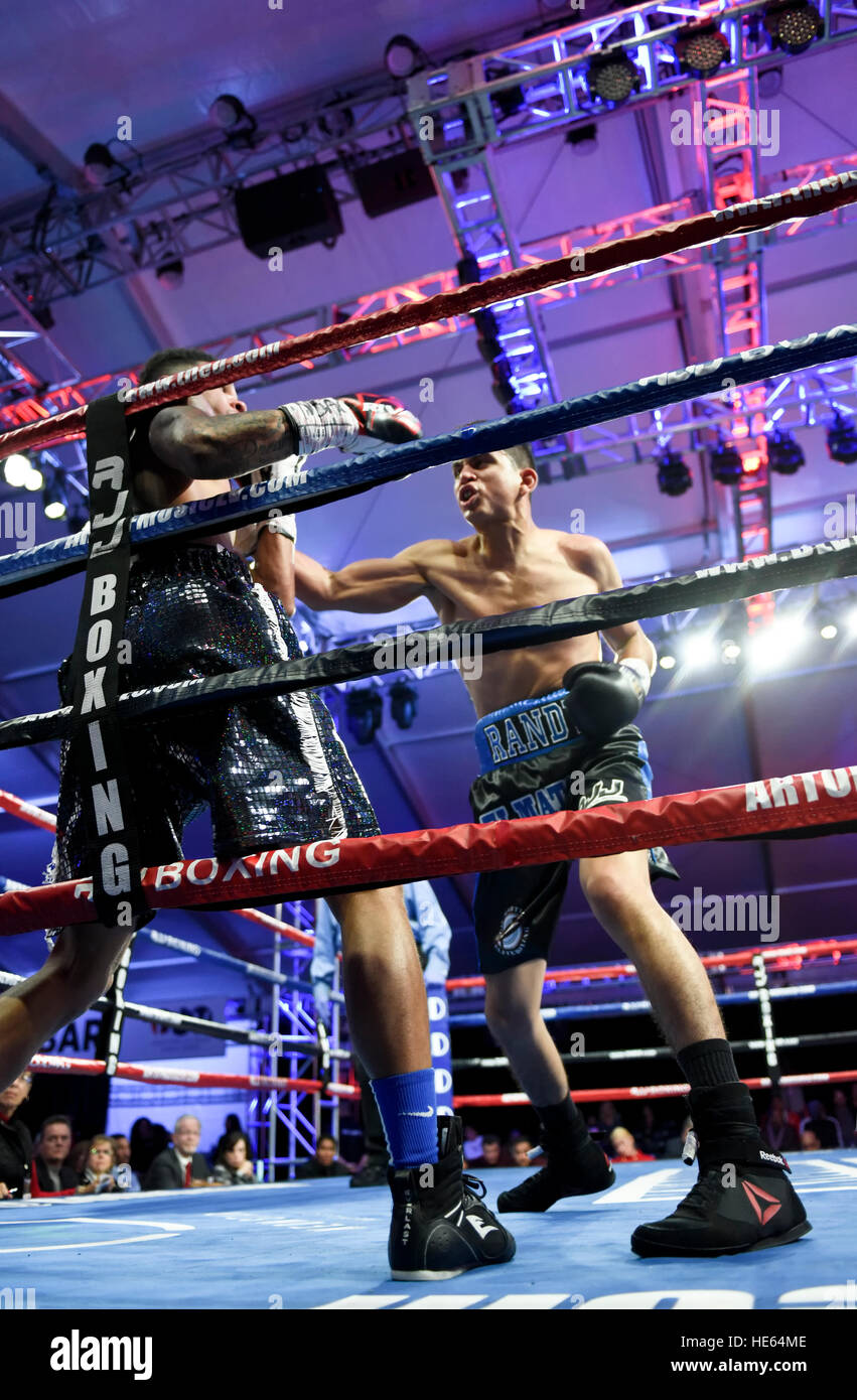 Geiler moreno -Fotos und -Bildmaterial in hoher Auflösung – Alamy