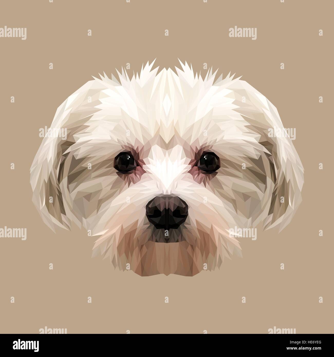Malteser Hund Tier low-Poly-Design. Dreieck-Vektor-Illustration Stock ...