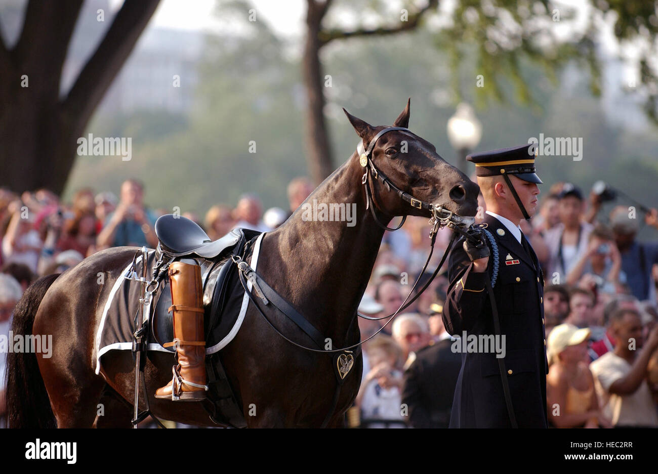 Prozession der militärdivision -Fotos und -Bildmaterial in hoher ...