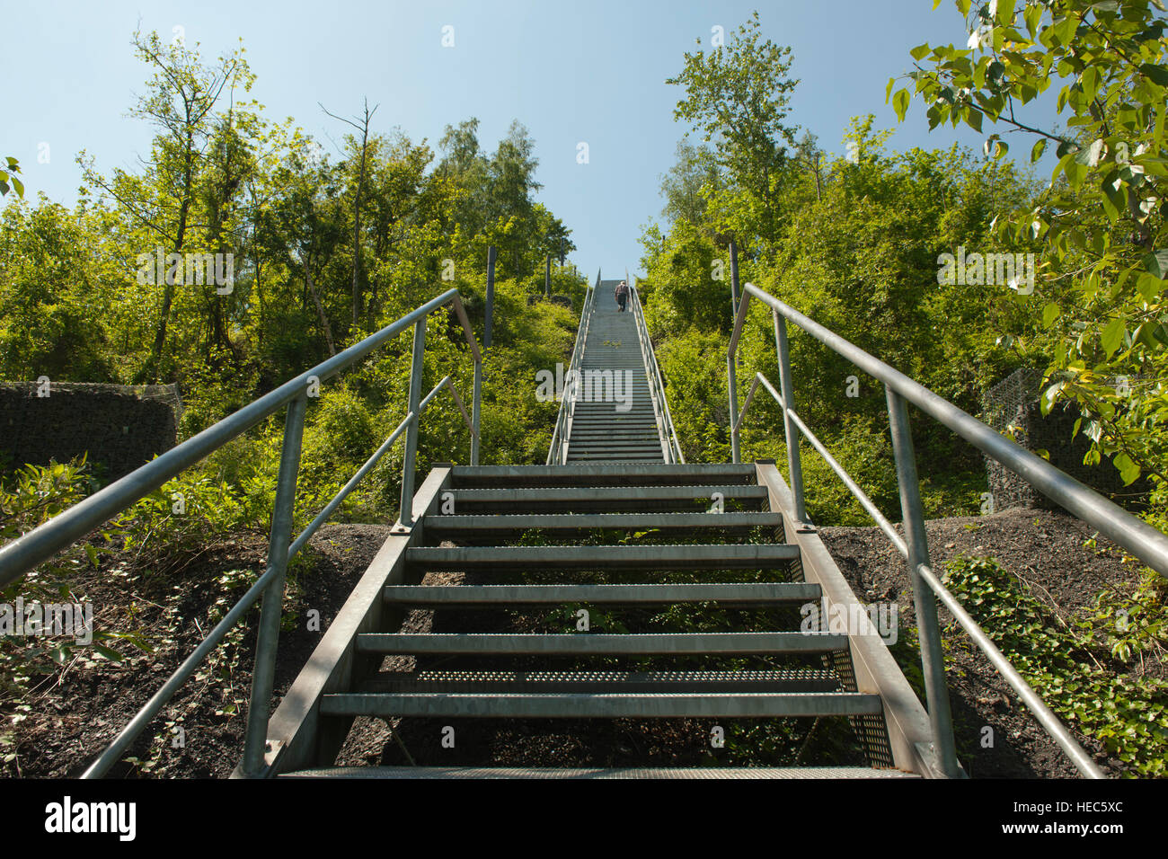 Millicher halde -Fotos und -Bildmaterial in hoher Auflösung – Alamy