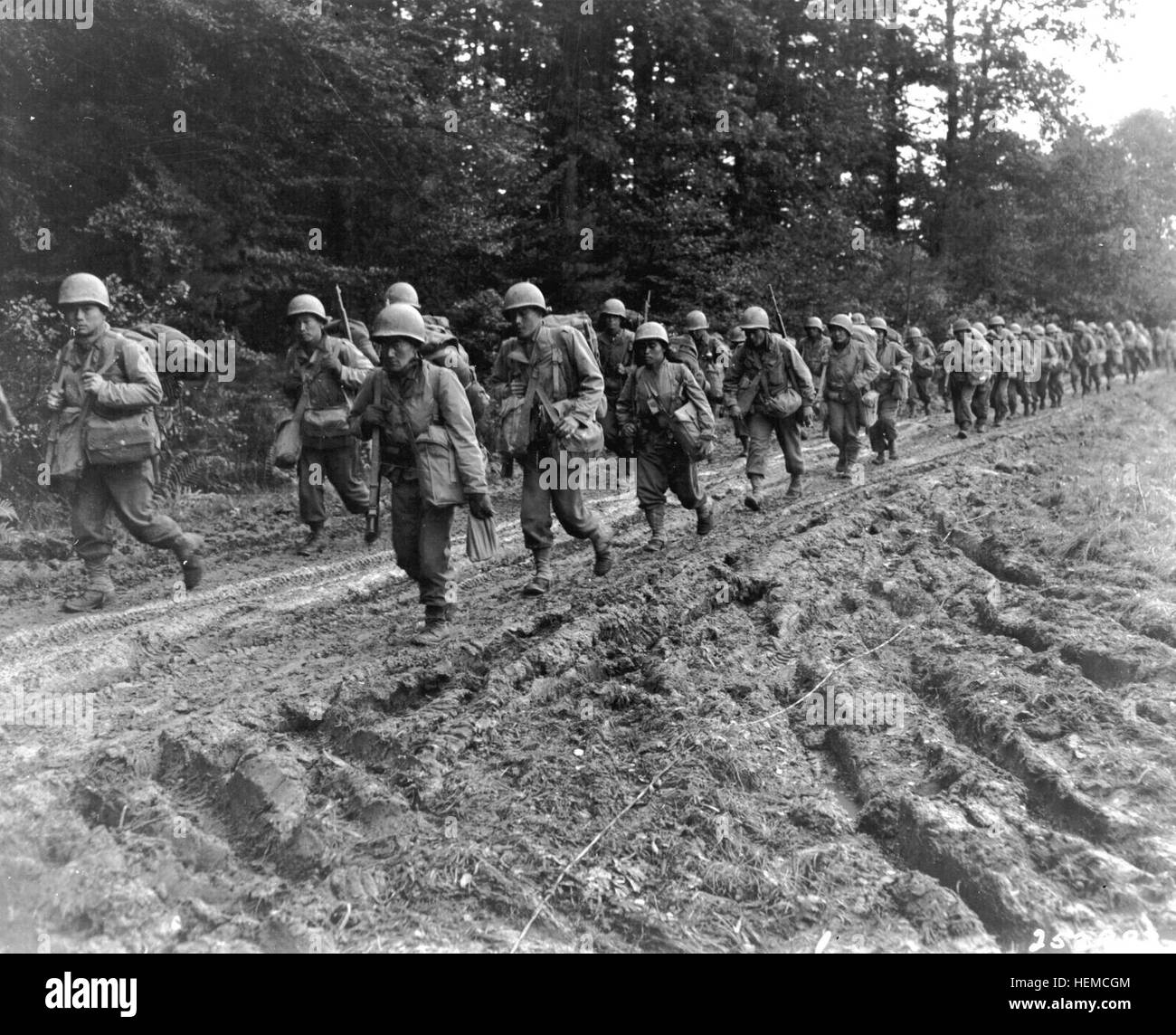 442 regimentskampfmannschaft -Fotos und -Bildmaterial in hoher ...