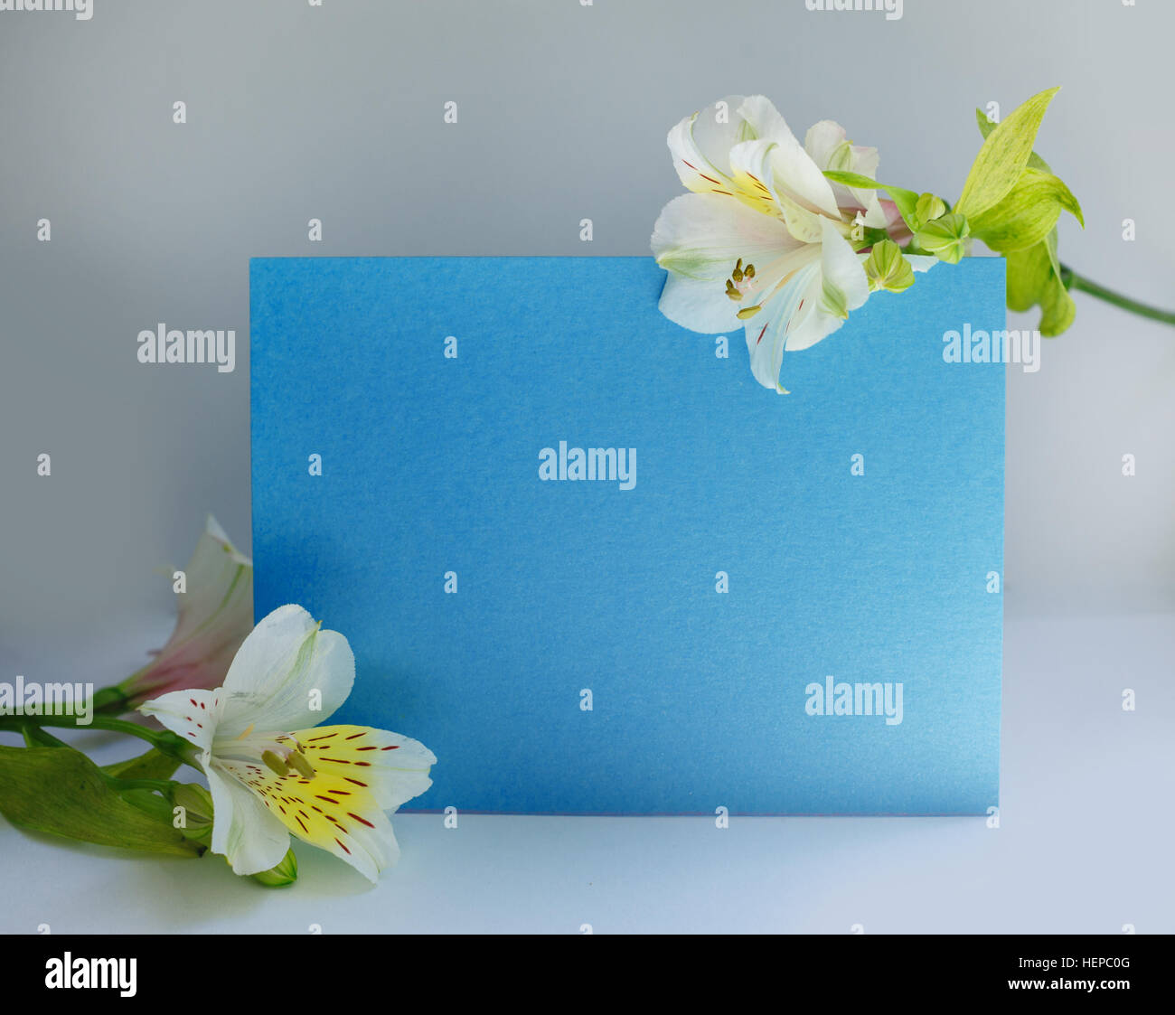 Rahmen blauer hintergrund -Fotos und -Bildmaterial in hoher Auflösung ...