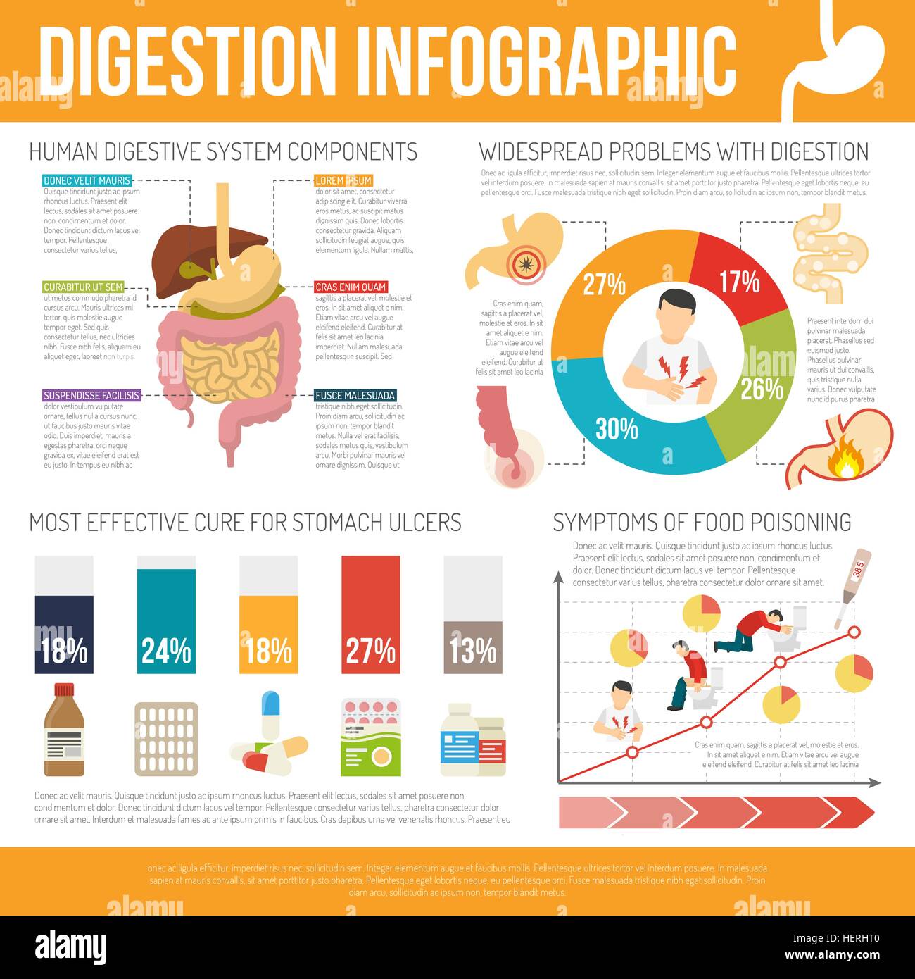 Verdauung-Infografik-Set. Verdauung-Infografik set mit menschlichen ...