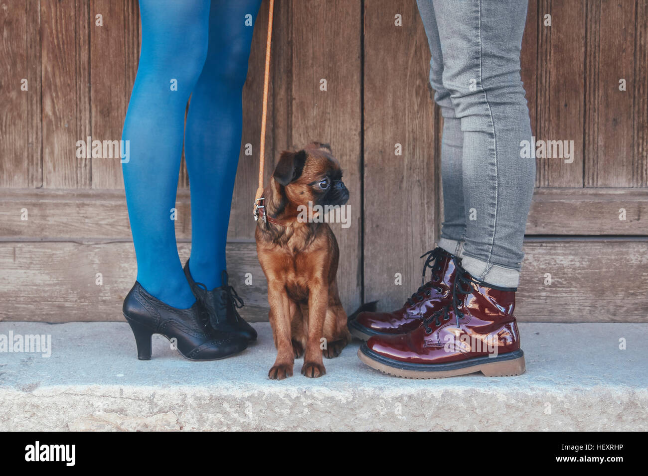 Dog between legs -Fotos und -Bildmaterial in hoher Auflösung – Alamy