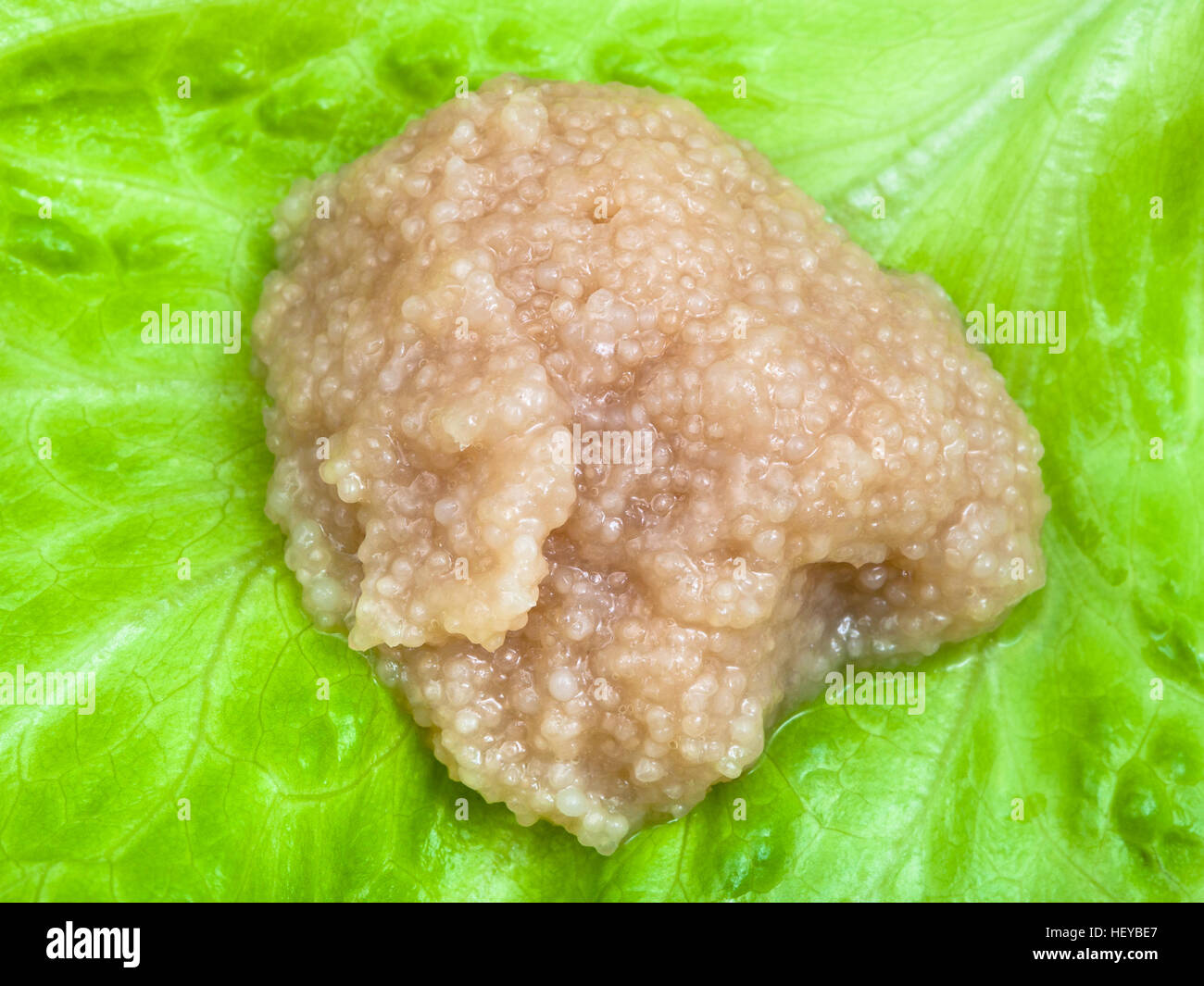 Fisch rogen hering -Fotos und -Bildmaterial in hoher Auflösung – Alamy
