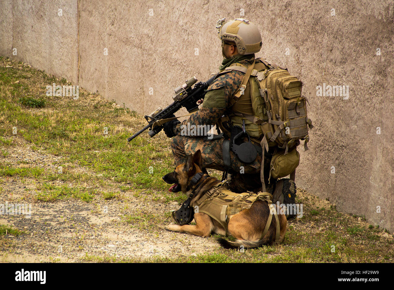 Sof integration -Fotos und -Bildmaterial in hoher Auflösung – Alamy