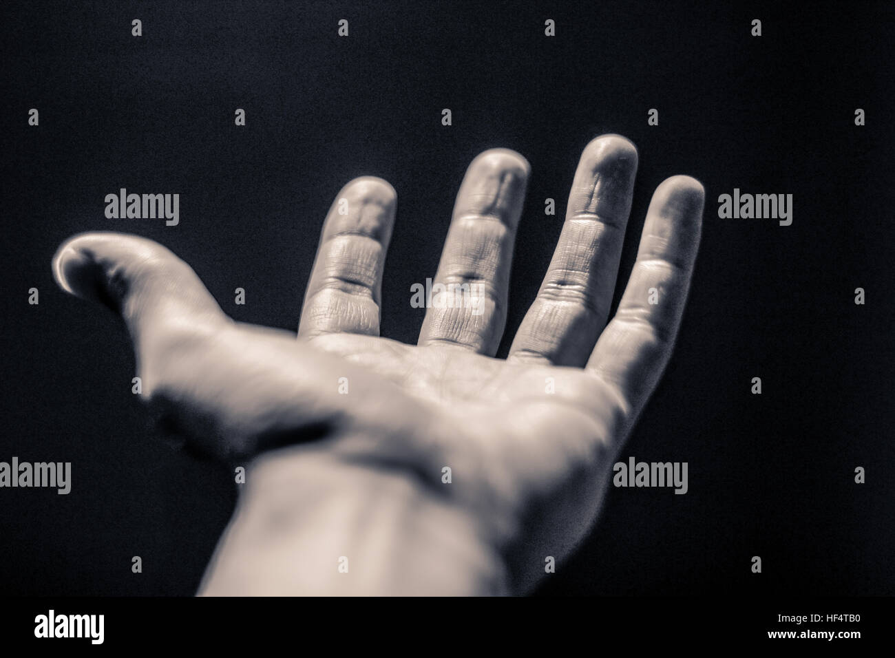 Menschliche handanatomie -Fotos und -Bildmaterial in hoher Auflösung ...