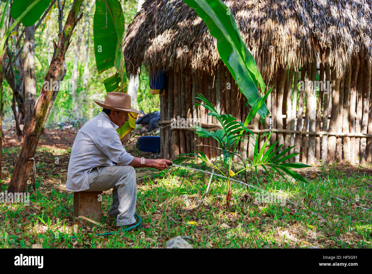 Schlauchepipe mexiko -Fotos und -Bildmaterial in hoher Auflösung – Alamy