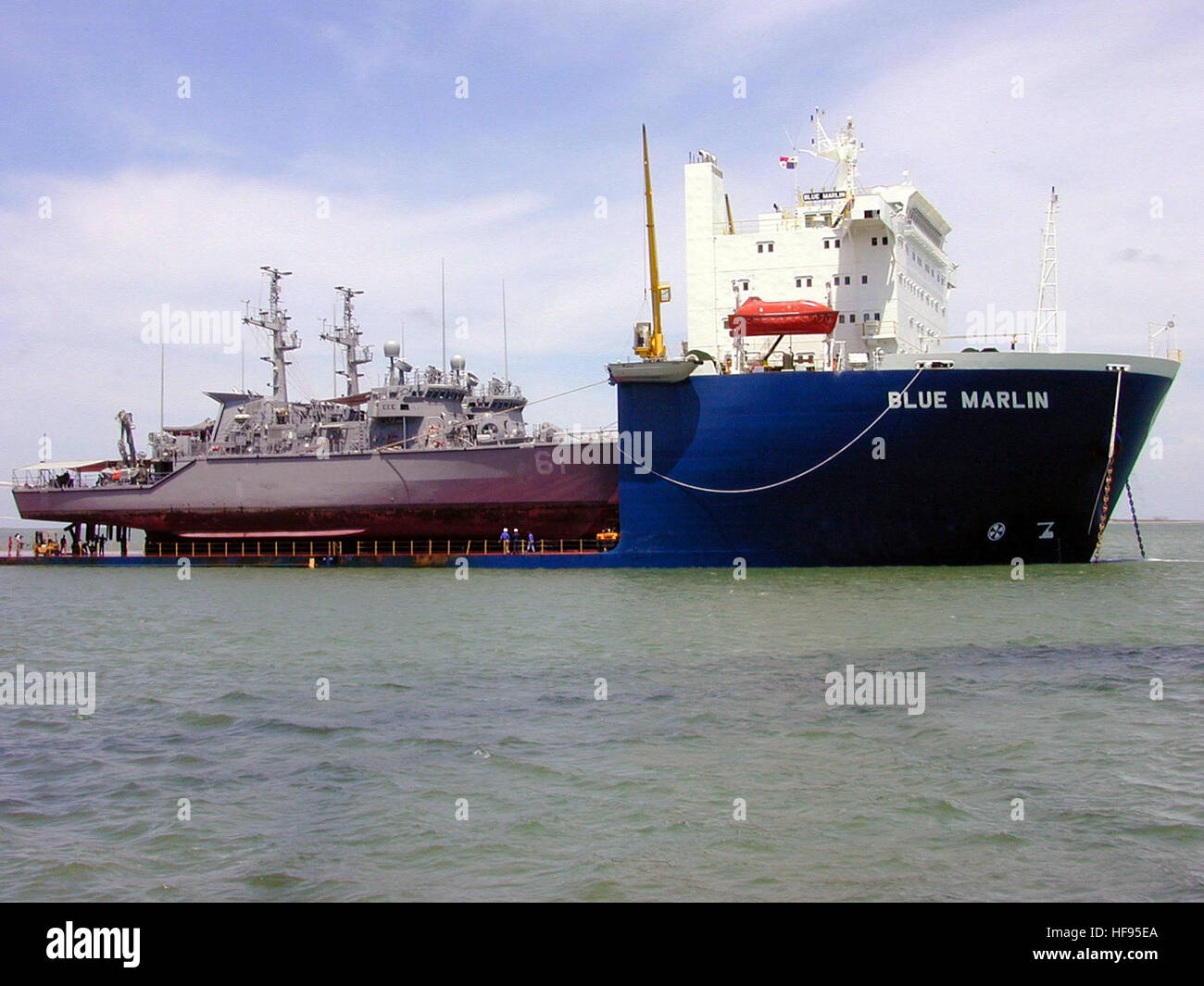 Mv blue marlin -Fotos und -Bildmaterial in hoher Auflösung – Alamy