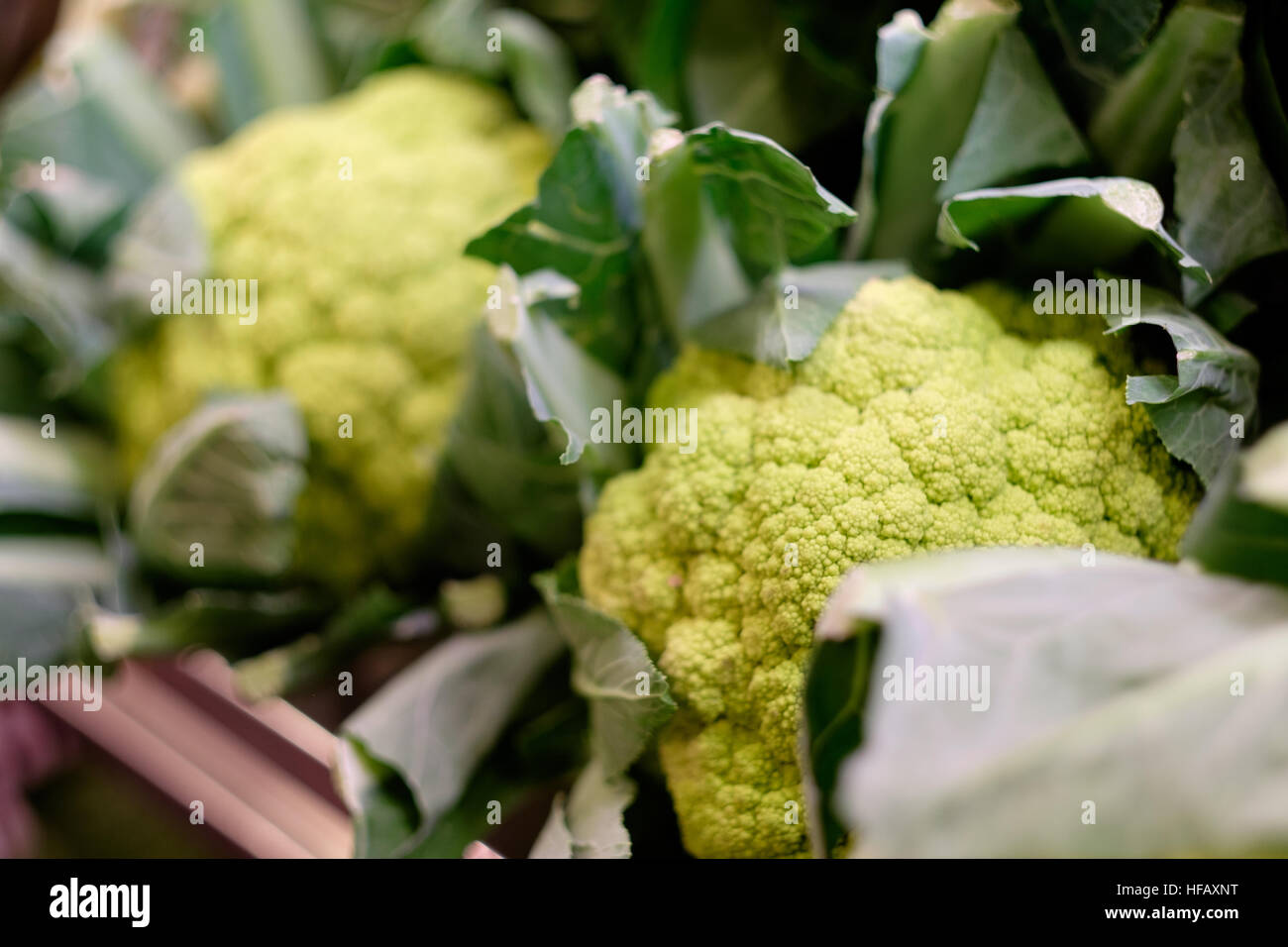 Verwunderlich Blumenkohl Grun Essbar Bilder