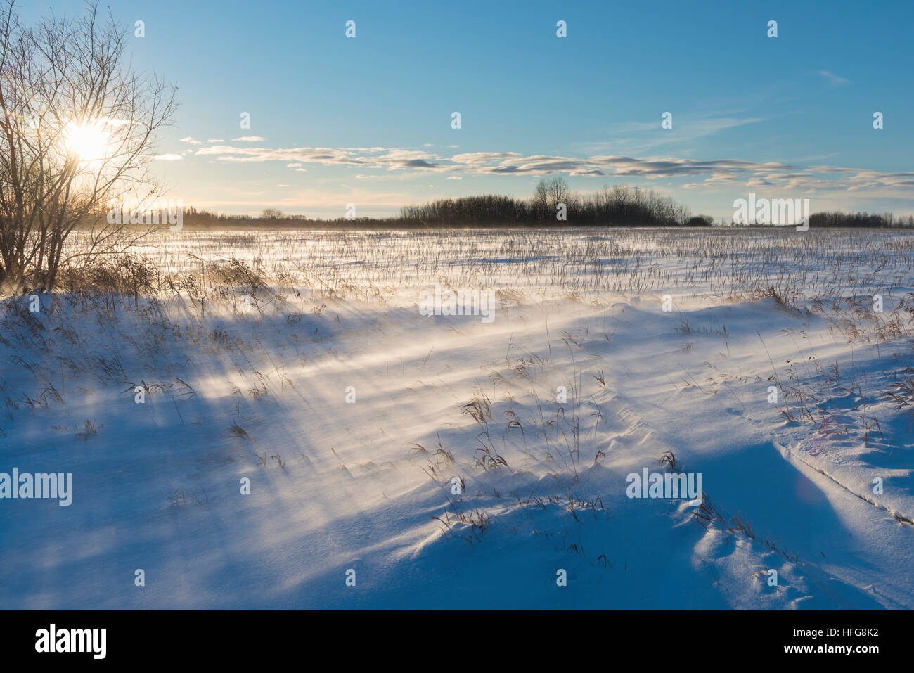 Kalte bewegung -Fotos und -Bildmaterial in hoher Auflösung – Alamy