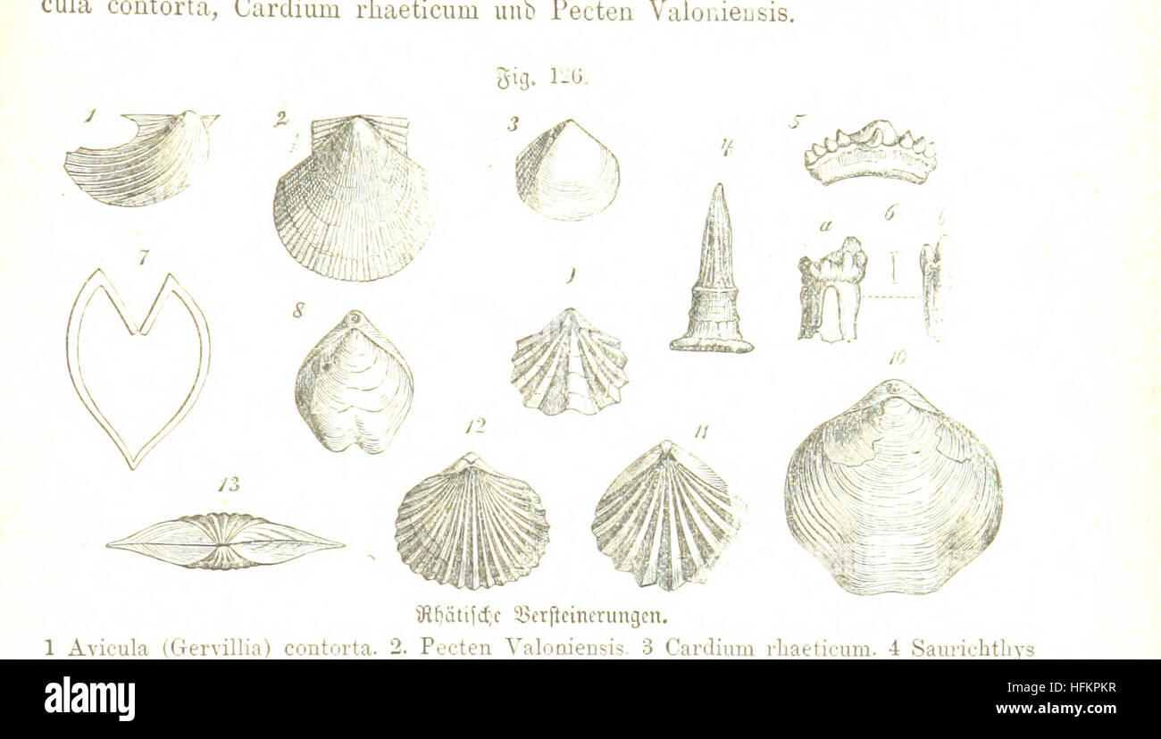 Allgemeine Erdkunde... Geschält von Dr. J. Hann, Dr. F. v. Hochstetter ...
