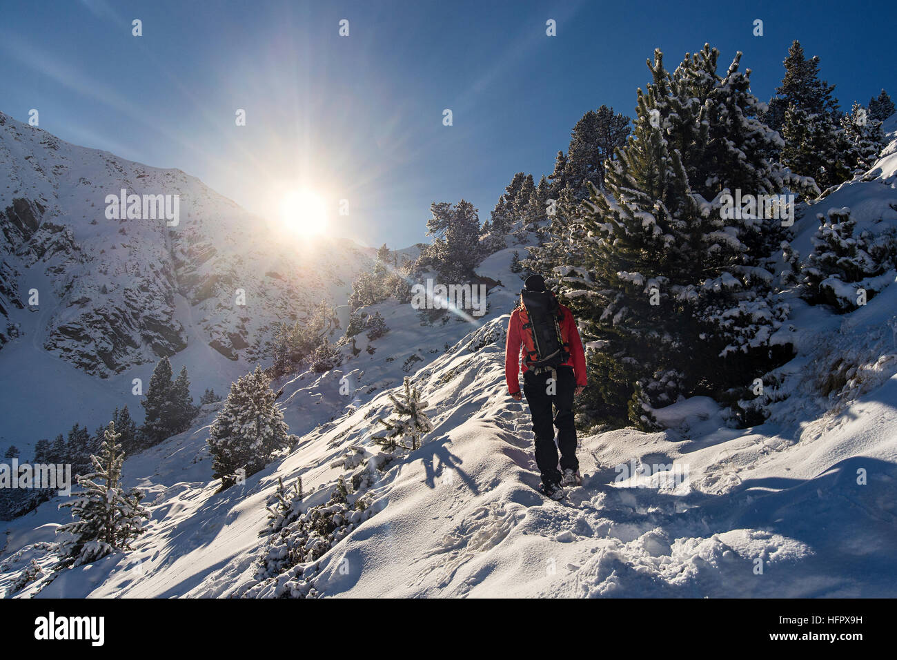 Gipfel erklimmen -Fotos und -Bildmaterial in hoher Auflösung – Alamy