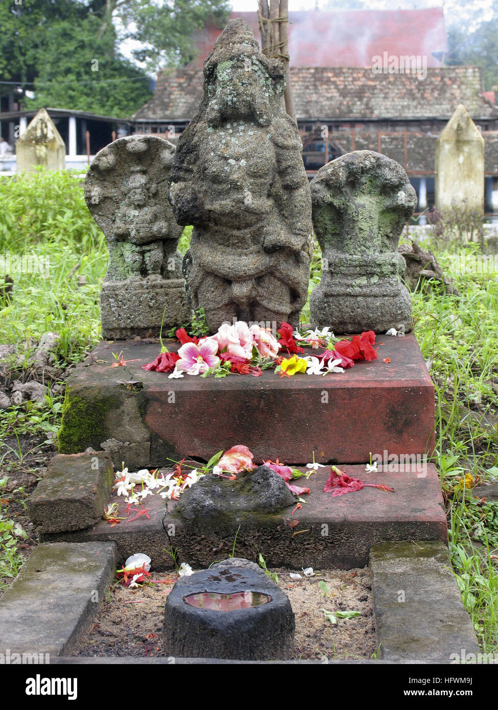 Schlangen kerala -Fotos und -Bildmaterial in hoher Auflösung – Alamy