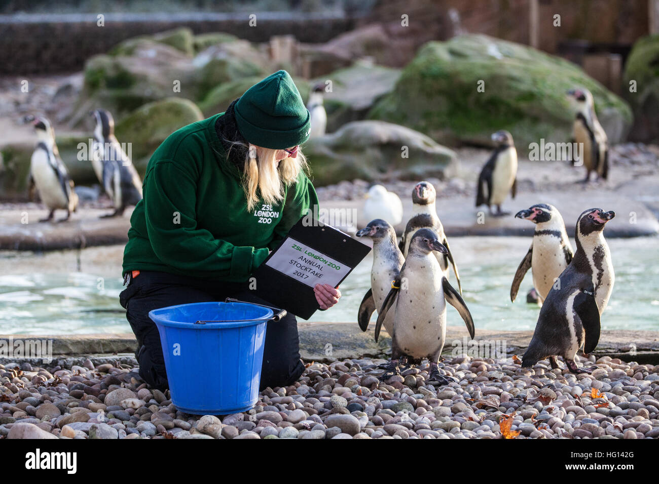 Suzi hyde -Fotos und -Bildmaterial in hoher Auflösung – Alamy