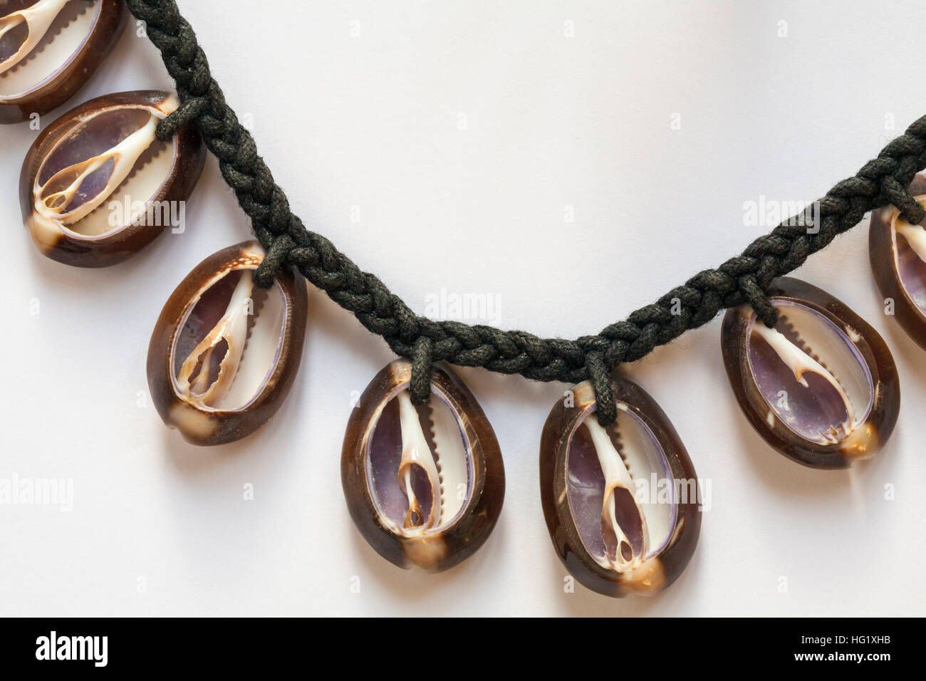 Kauri muscheln -Fotos und -Bildmaterial in hoher Auflösung – Alamy