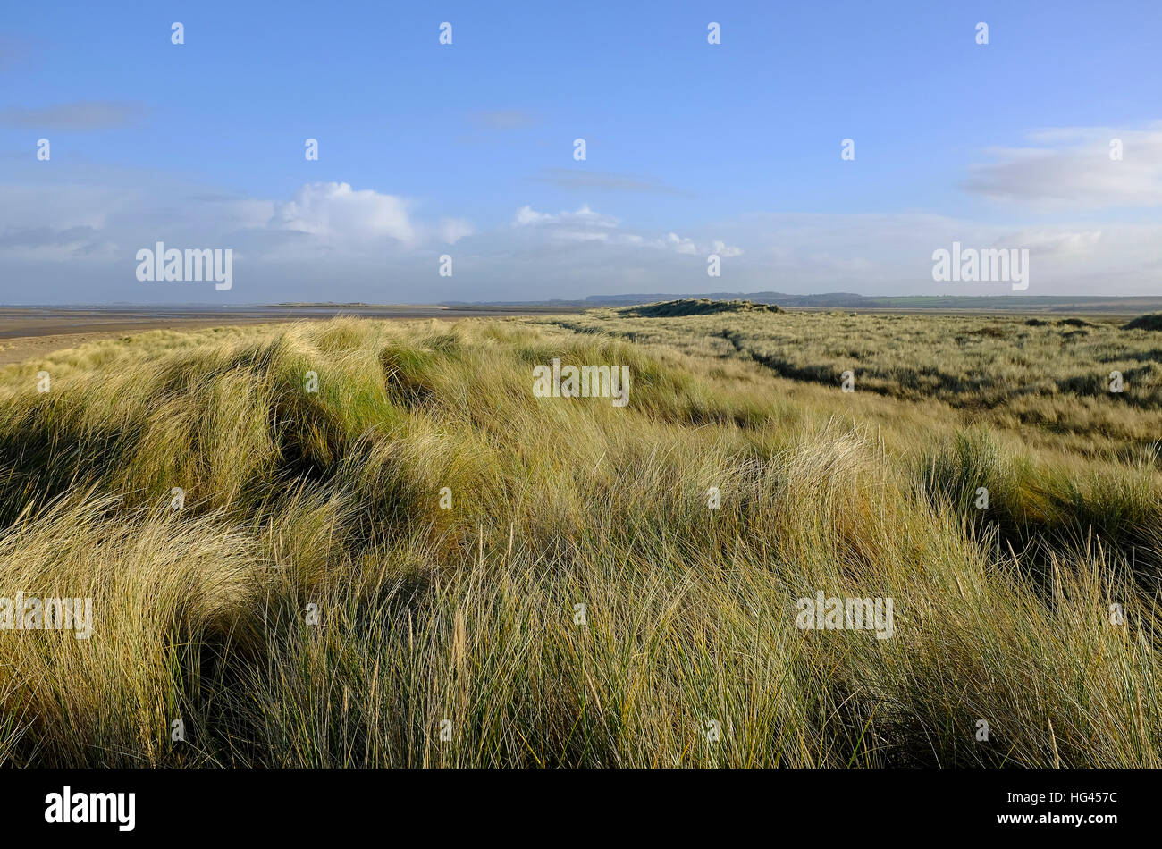 Holme sand -Fotos und -Bildmaterial in hoher Auflösung – Alamy