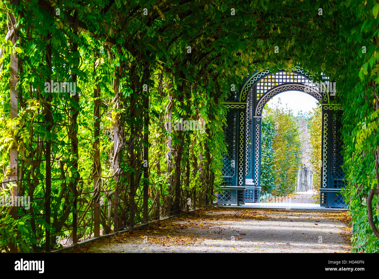 Laubengang wien -Fotos und -Bildmaterial in hoher Auflösung – Alamy