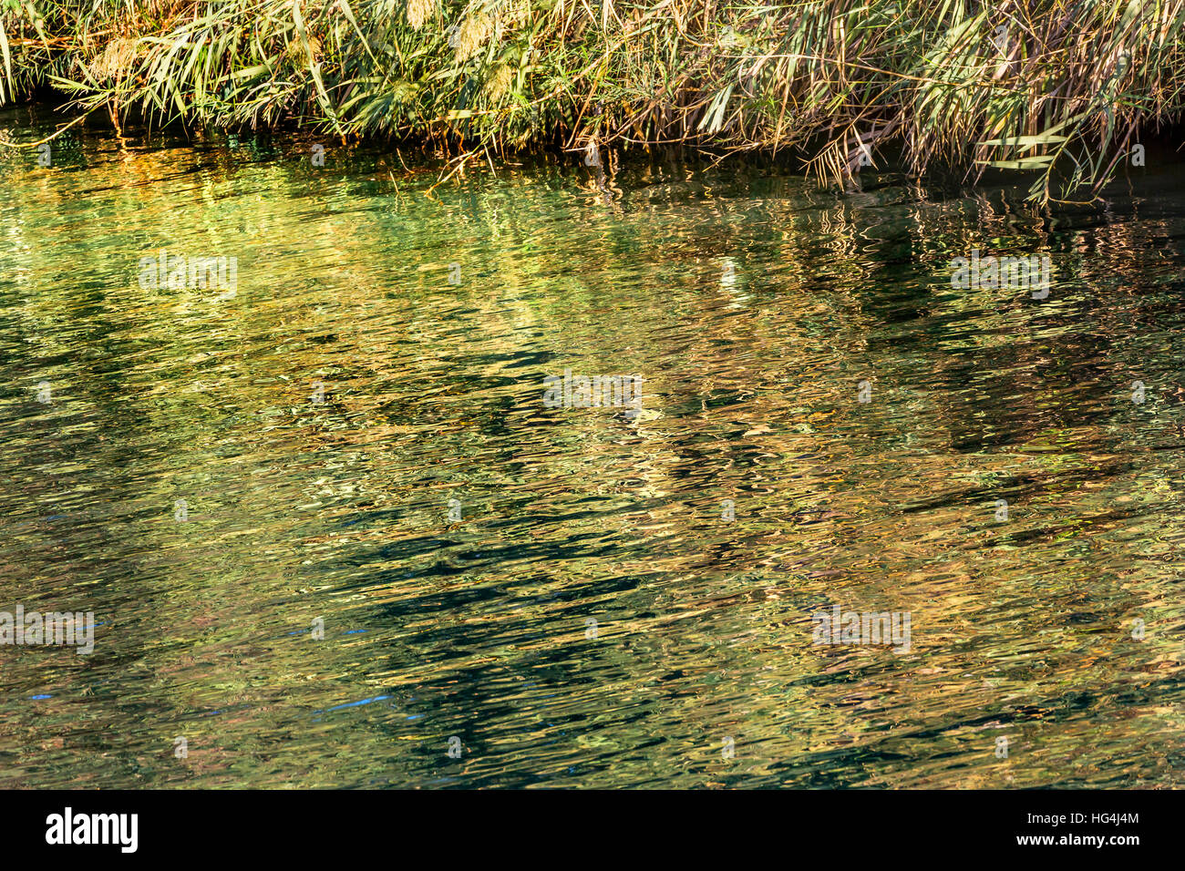 Fluss Jordan Yardenit Taufe Website grünes Wasser Reflexion abstrakte ...