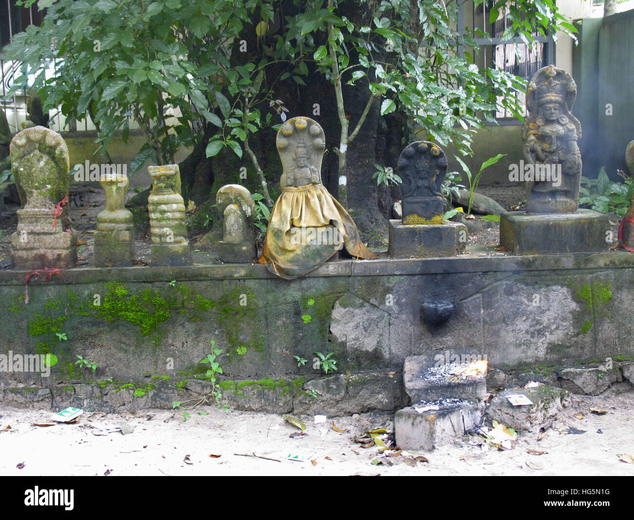 Kerala schlangen -Fotos und -Bildmaterial in hoher Auflösung – Alamy
