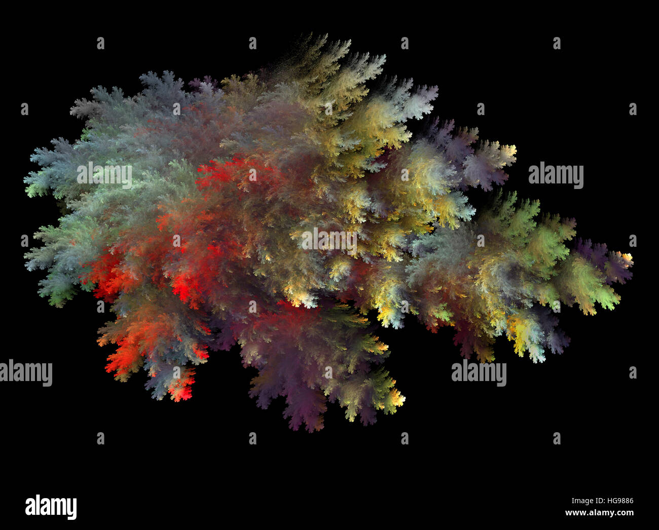 Blattfraktalmuster -Fotos und -Bildmaterial in hoher Auflösung – Alamy