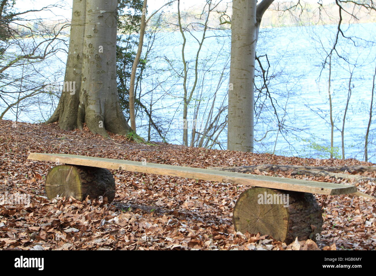 Wald mit wasser -Fotos und -Bildmaterial in hoher Auflösung – Alamy