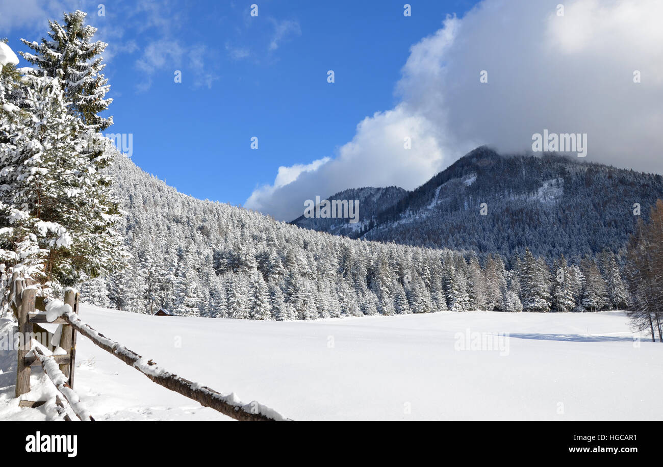 Obsteig tirol -Fotos und -Bildmaterial in hoher Auflösung – Alamy