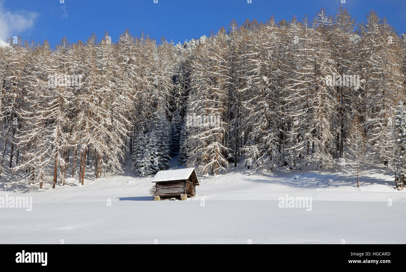 Obsteig tirol -Fotos und -Bildmaterial in hoher Auflösung – Alamy