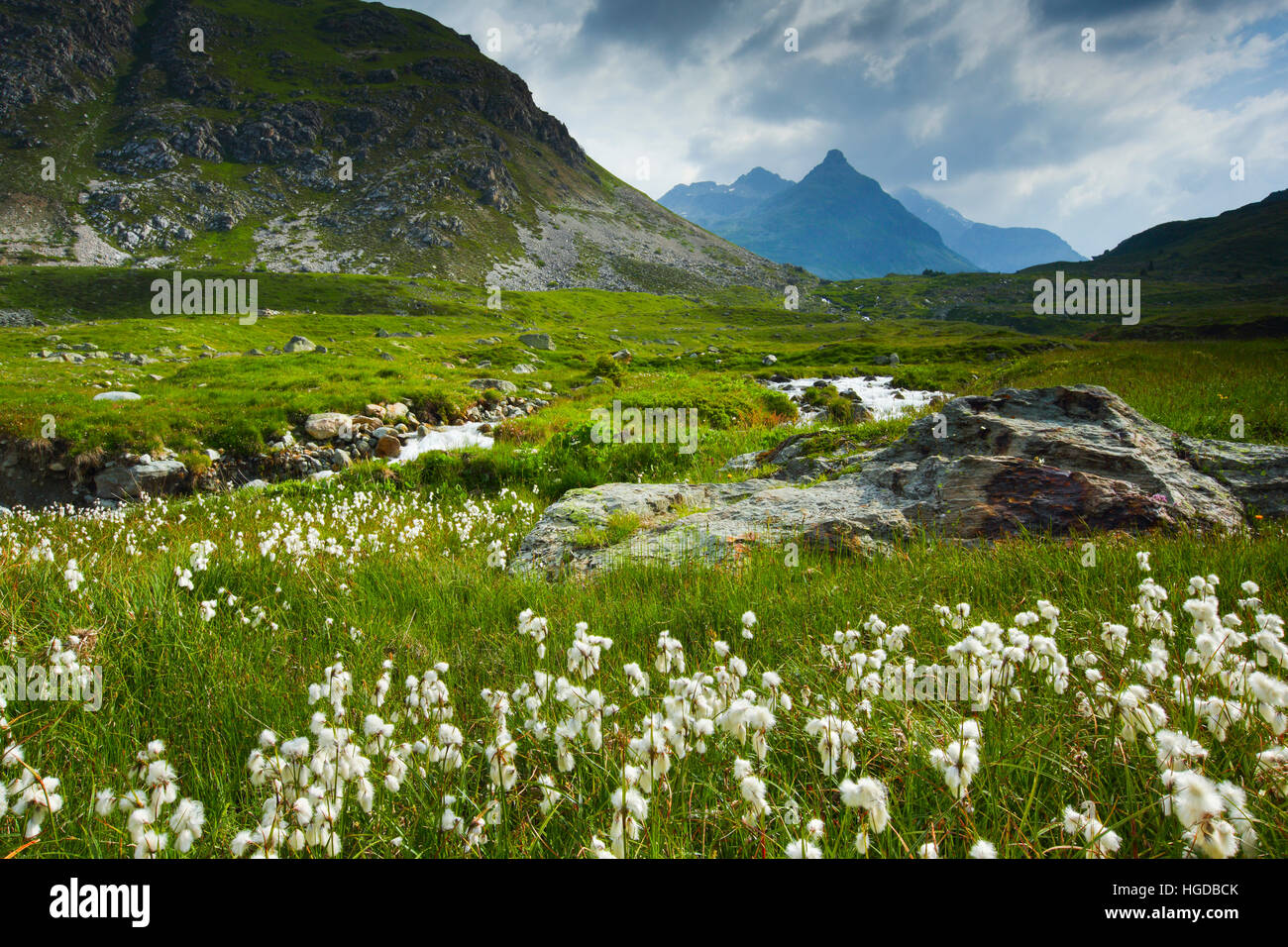 Julier Pass Stockfotos und -bilder Kaufen - Alamy