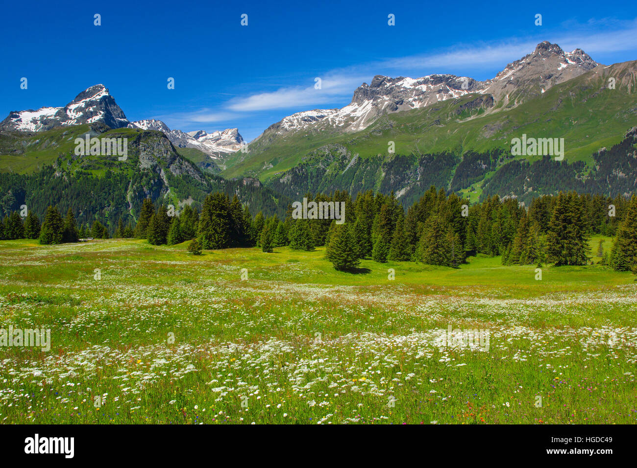 Alp Flix, Graubünden, Schweiz Stockfotografie - Alamy
