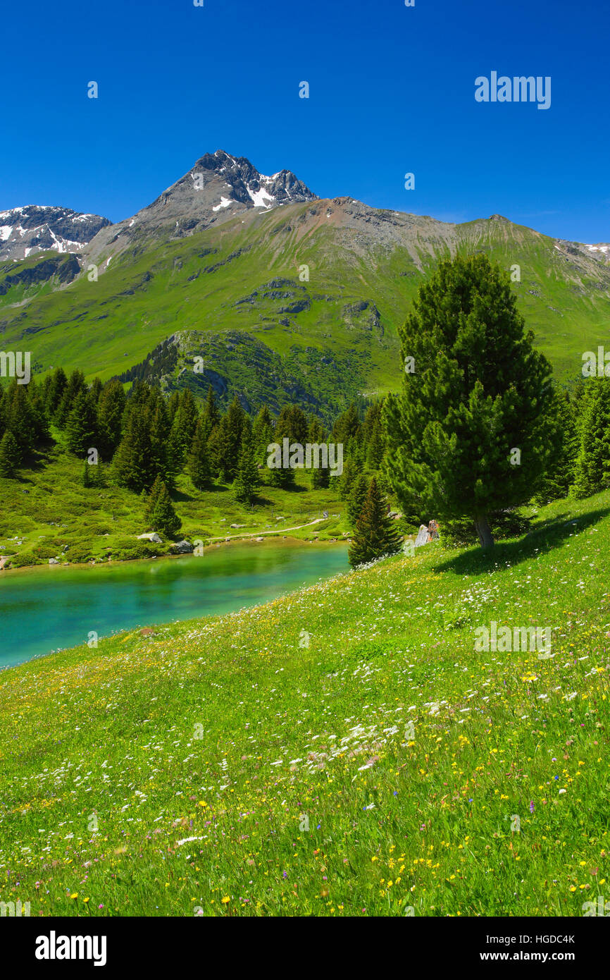 Alp Flix Stockfotos und -bilder Kaufen - Alamy
