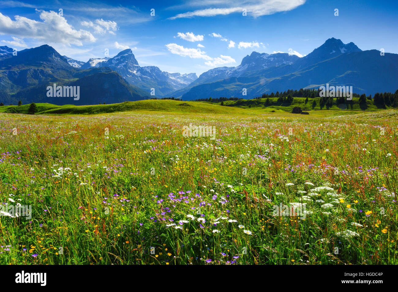 Alp Flix, Graubünden, Schweiz Stockfotografie - Alamy