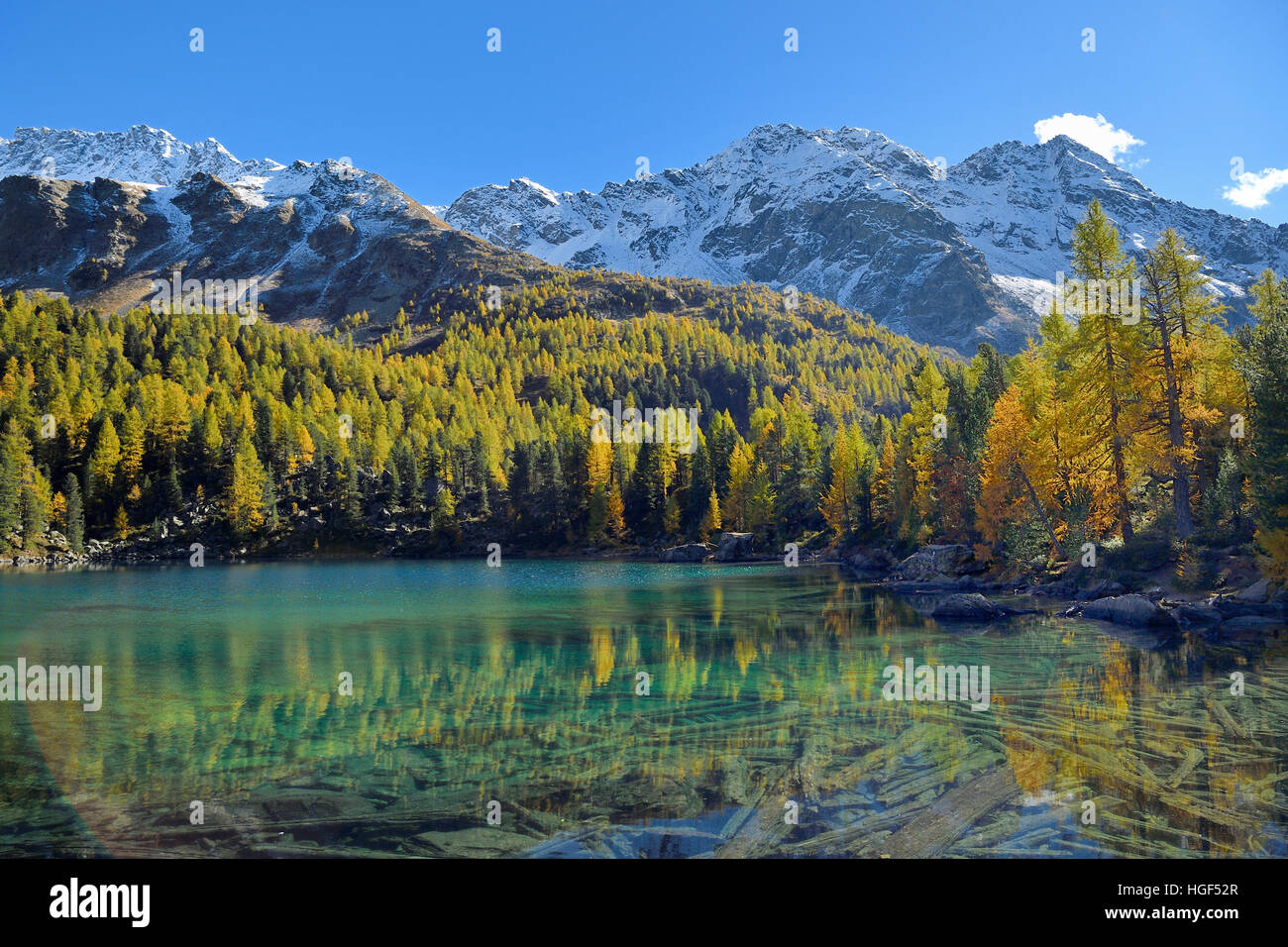 Scima da rugiul -Fotos und -Bildmaterial in hoher Auflösung – Alamy