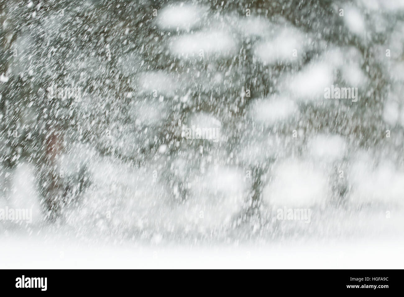 Schneit niemand -Fotos und -Bildmaterial in hoher Auflösung – Alamy